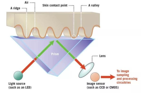 4 Types Of Fingerprint Scanners: Deep Dive Into How They Work - ClockIt